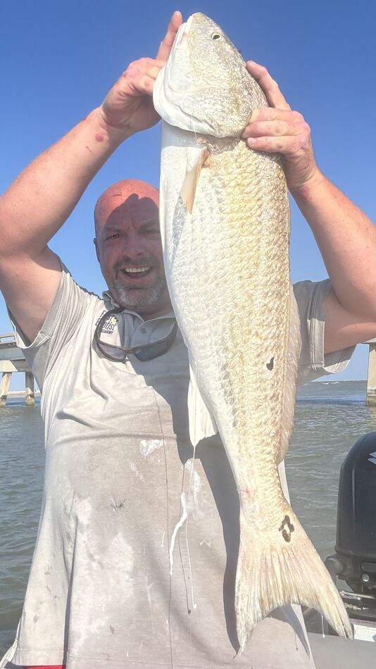 Big Bull Red Fish in Sept 2025 at the pass: Caroline Reagan live strip ...