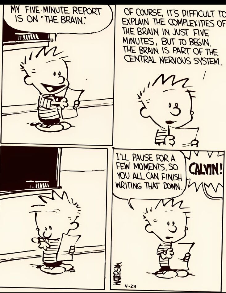 For the stout of heart: And need of smiles…….Calvin makes an appearance...