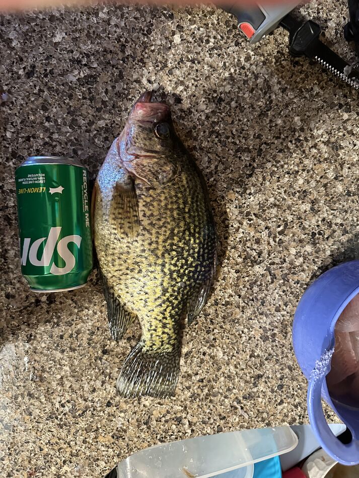 Big ins: Slabs...