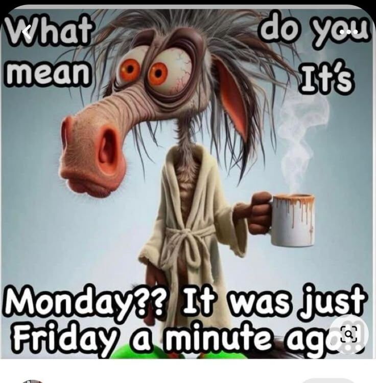 Good morning 12/22/25: Good Monday morning crew. The weekend is over ...