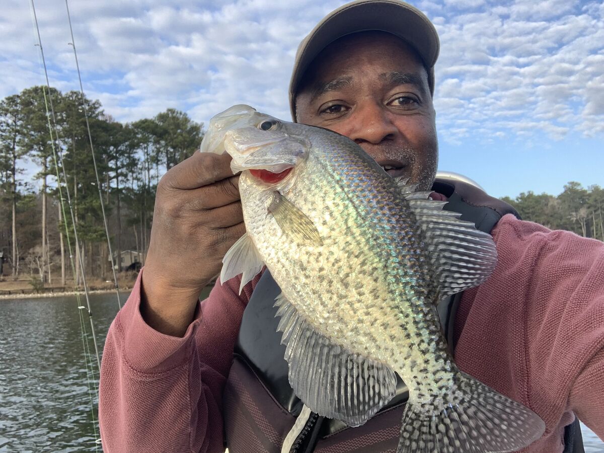 Lake Sinclair Sniping: I decided to change my plan on which lake to ...