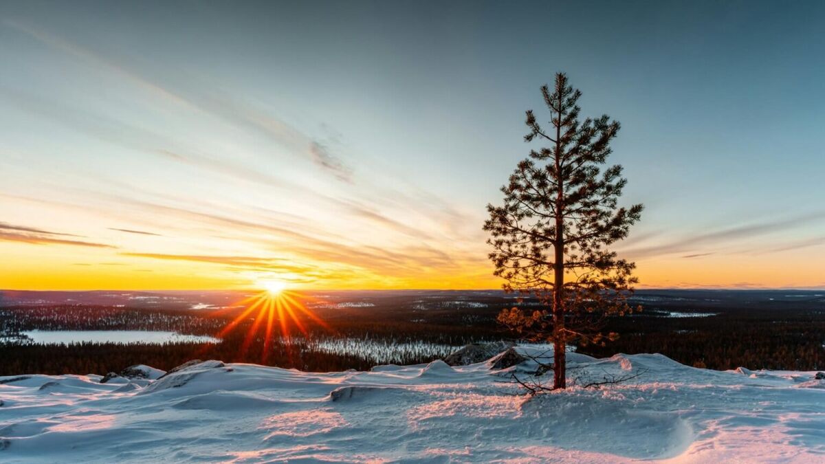 Photo of the Day #595: A lone pine tree at sunrise. Kittilä, Finnland ...