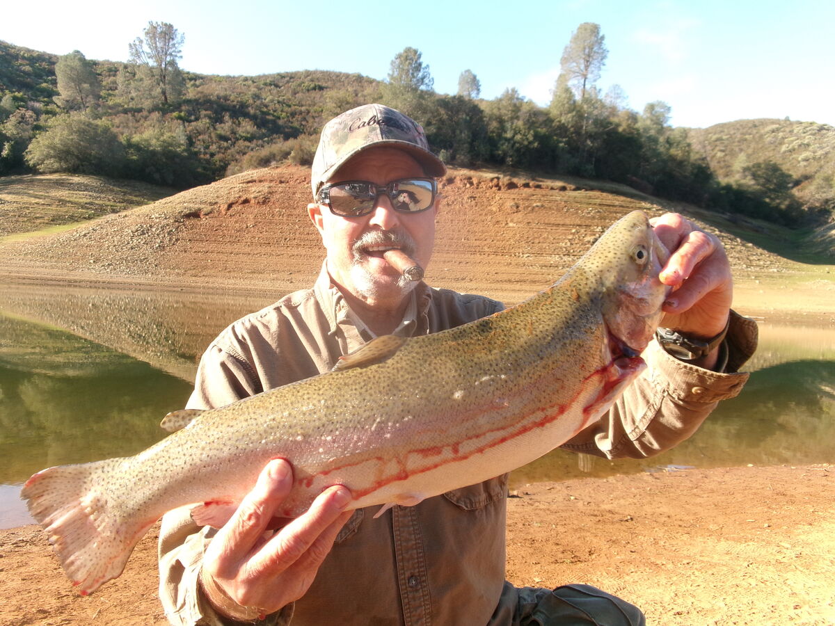 28* Trout: Seems like the Fishing Gods always let me have one big one ...