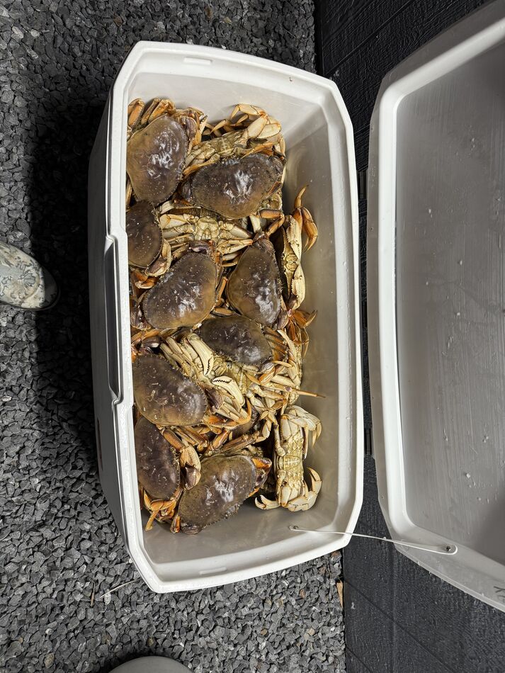 Bodega bay 12/5 Crab and Lingcod: Took 2 friends out to target big ...