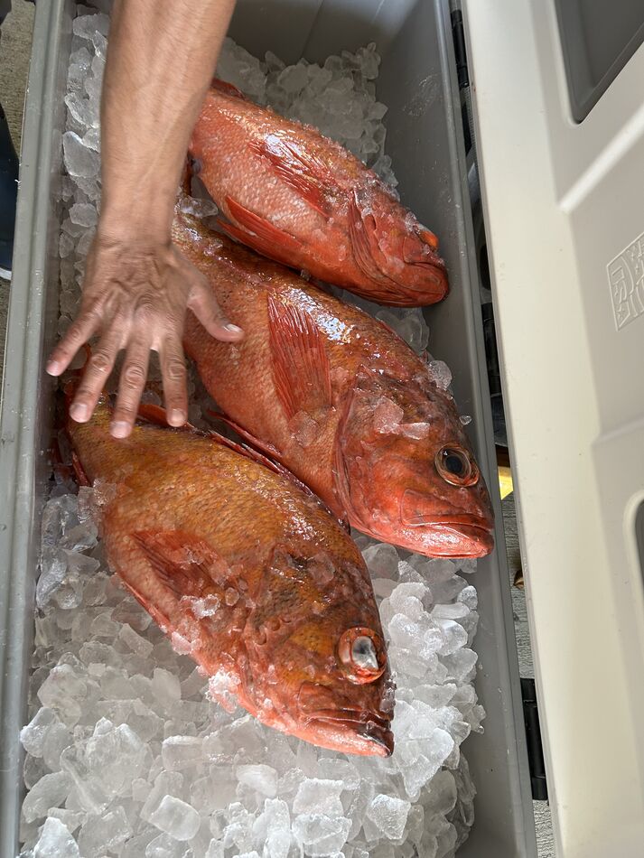 Awesome fishing aboard the eldorado: Great fishing! Huge red vermilion ...
