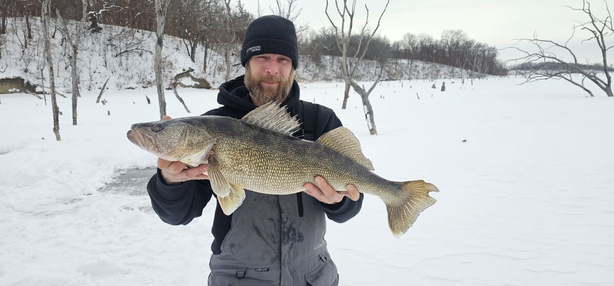 Big walleye: Caught this 29 1/4" walleye yesterday at Brushy creek lake ...