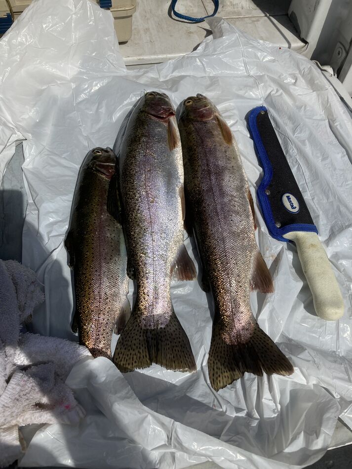 Yup, I fish! The weather was perfect at Comins lake, Ely Nevada. The ...