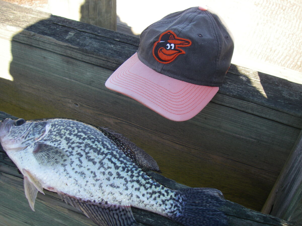 Finally caught some fish: 2/24/25 Beautiful morning. Finally caught ...