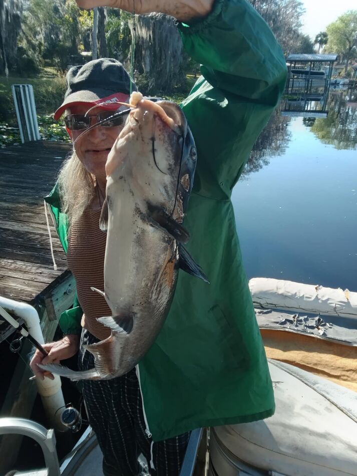 Several large catfish caught yesterday Sunday Feb. 23, 2025: Had a fun ...