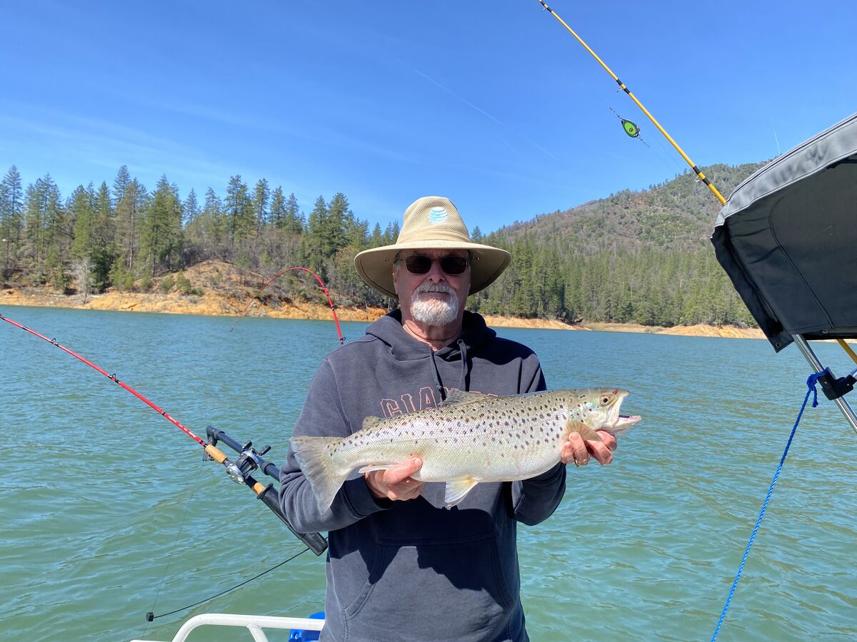 5.5 lb brown trout: March 2024. Weather clear and cool. Near hirtz bay ...