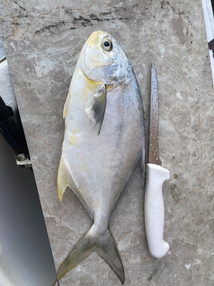 PORT ST LUCIE: Pompano from the Indian River Ft pierce area.