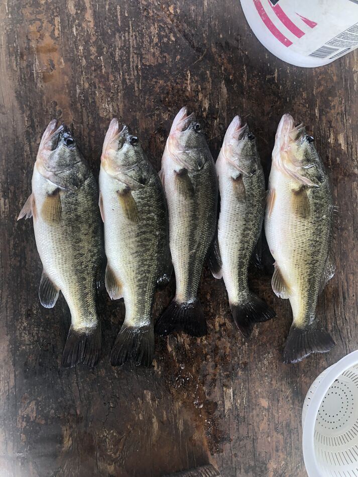 False River fishing: The last good trip I had before the snow storm ...