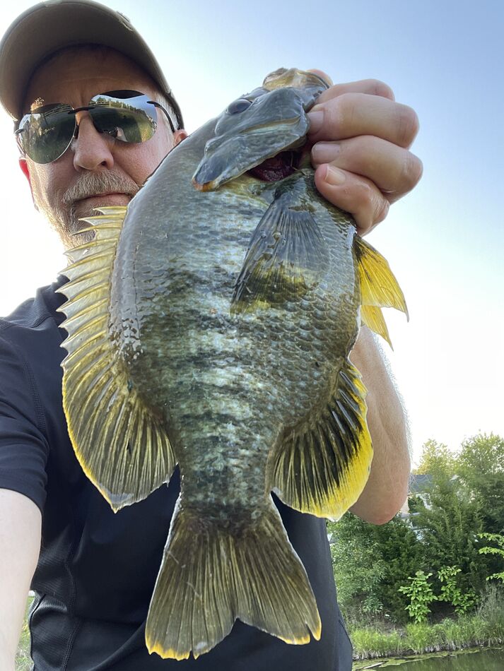 Fishing South Central Virginia in the Winter: Hi, I moved here and have ...