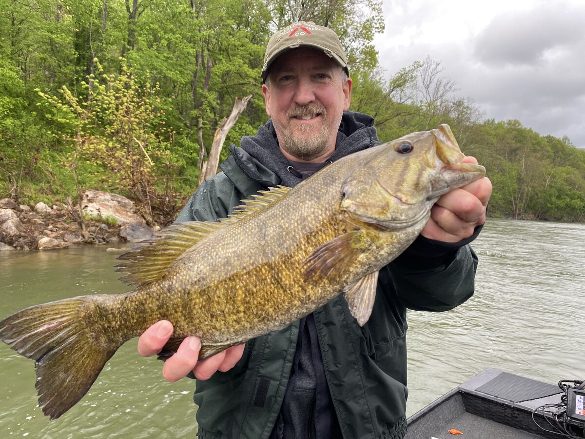 Fishing South Central Virginia in the Winter: Hi, I moved here and have ...