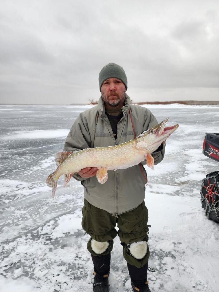 Nice Fish: Nelsons...