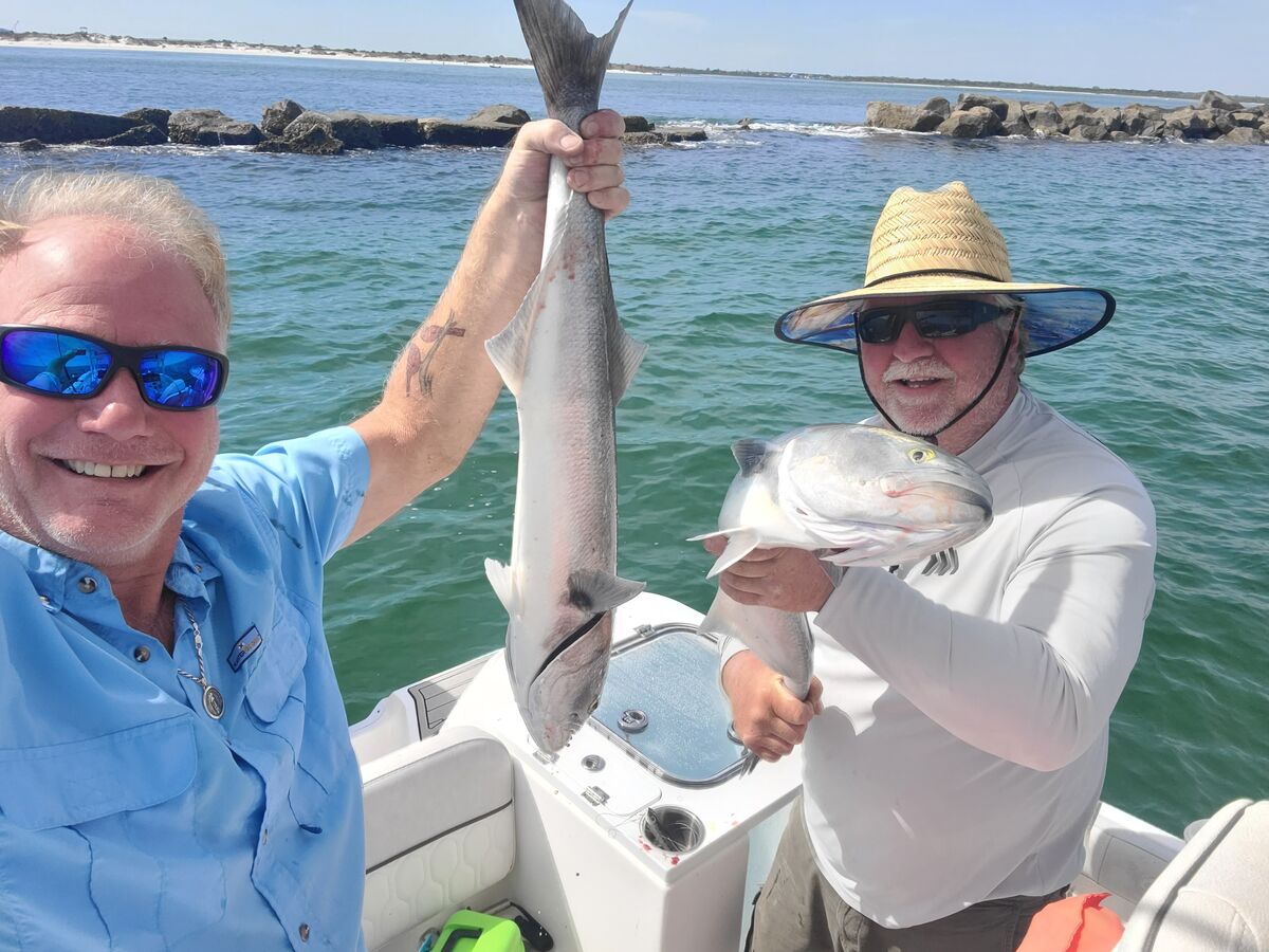 Blue fish: Days of fun blue fish were running around Ponce Inlet jetti ...