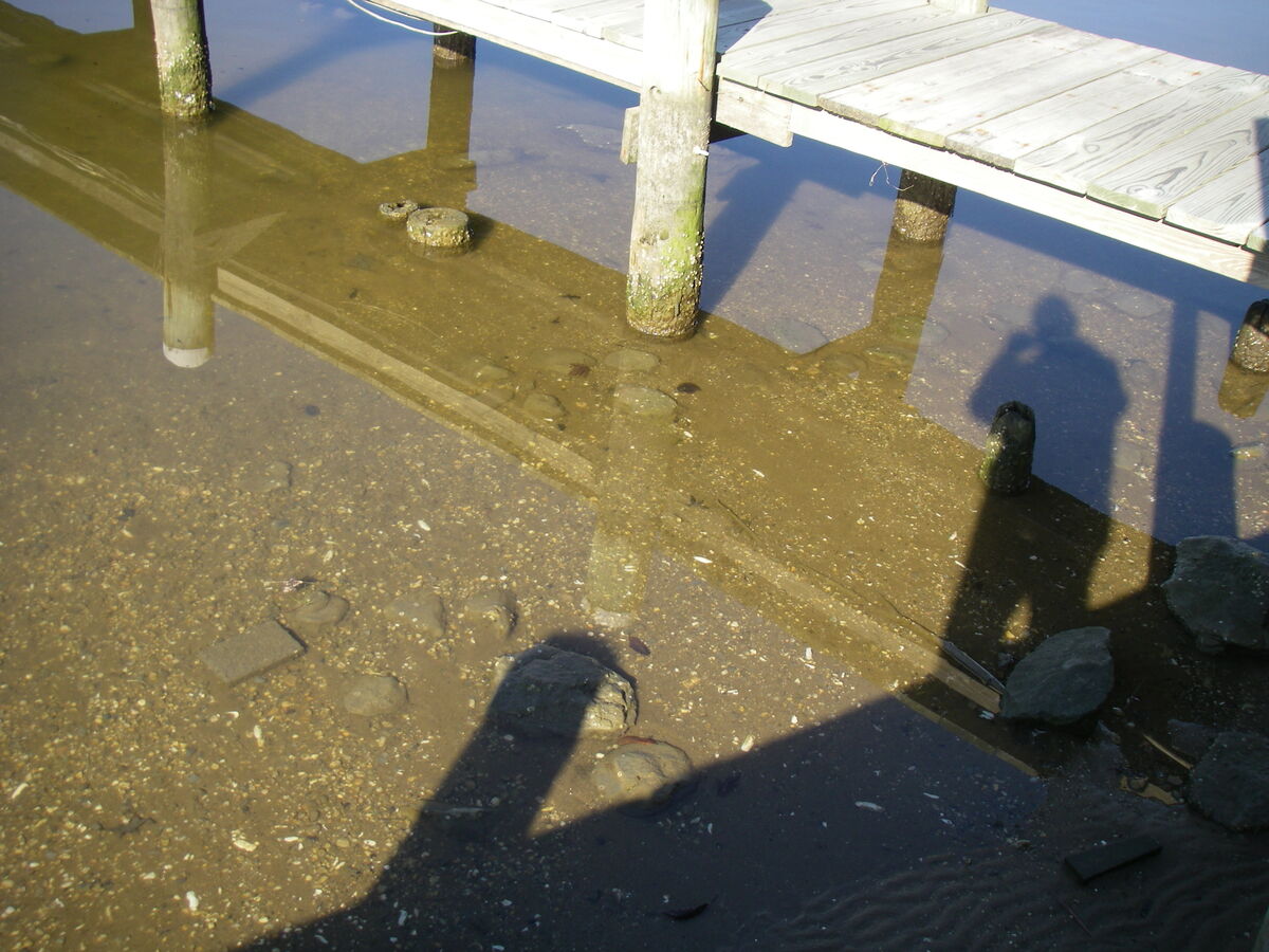 3/11/25 Extra low dead tides: 3/11/25 The extra low dead tides all week all day= no fish from ...