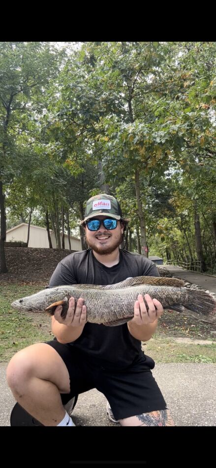 Beautiful northern snakehead: I caught this fish using a 3.8in paddle ...