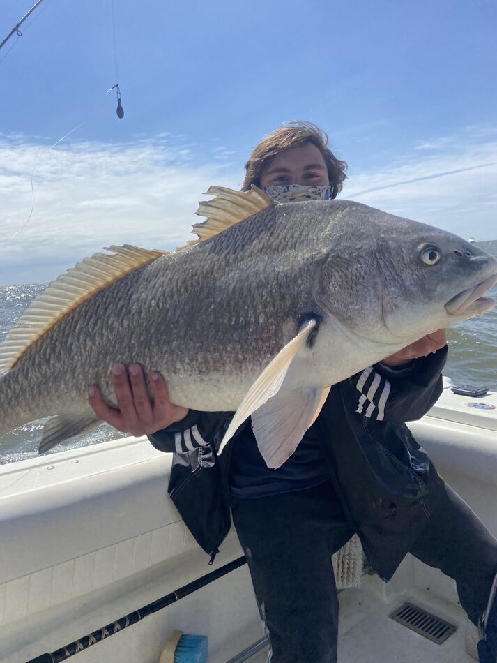 Black drum: Bottom jigging during outgoing tide with clams. Delaware ...