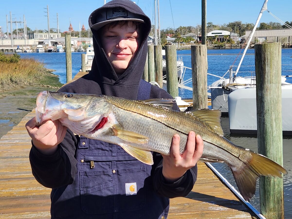 Snook: Snook in St Augustine...