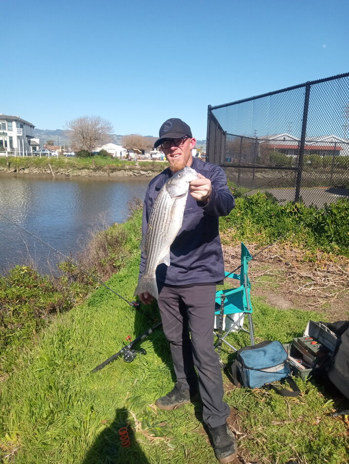 Downtown Petaluma: 21 inch keeper last week good times...