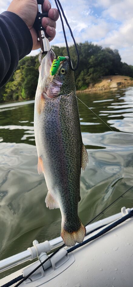 Spring lake fishing heats up: With word of a new 1,000lb trout plant, I ...