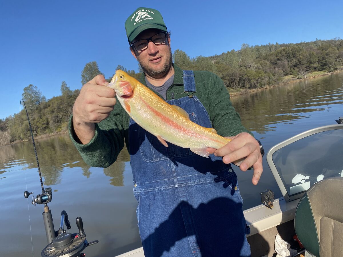 Lightning trout: Been on the troll the last 3 weekends at Collins for a ...