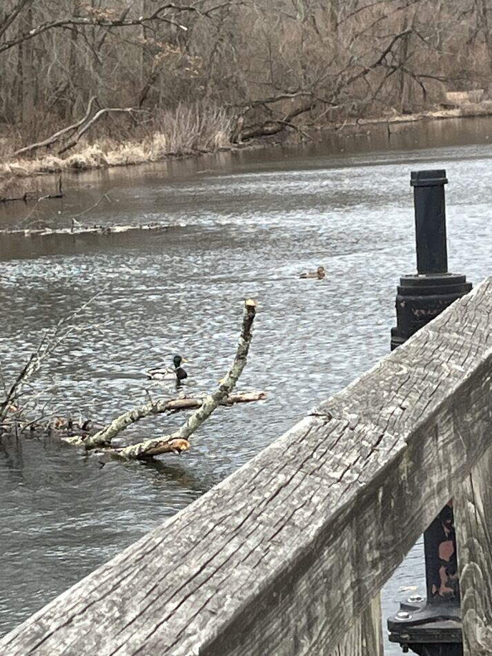 South wind gale fishing 🎣 in a storm ⛈️: Went fishing 🎣 in 49 degrees ...