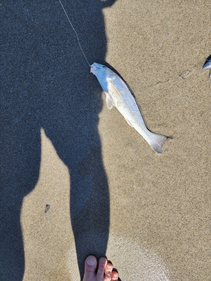 Finally starting to catch fish!! Learned about using a high low with a ...