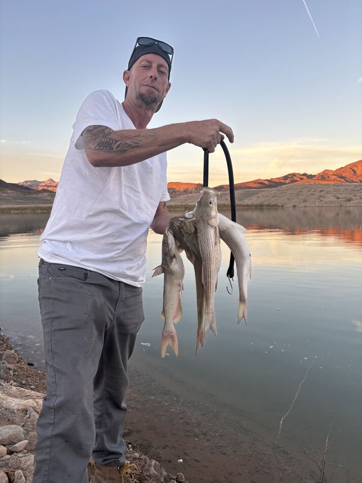 two stripers 2 catfish: Caught four fish two stripers 2 catfish the weather 70 degrees anchovies ...