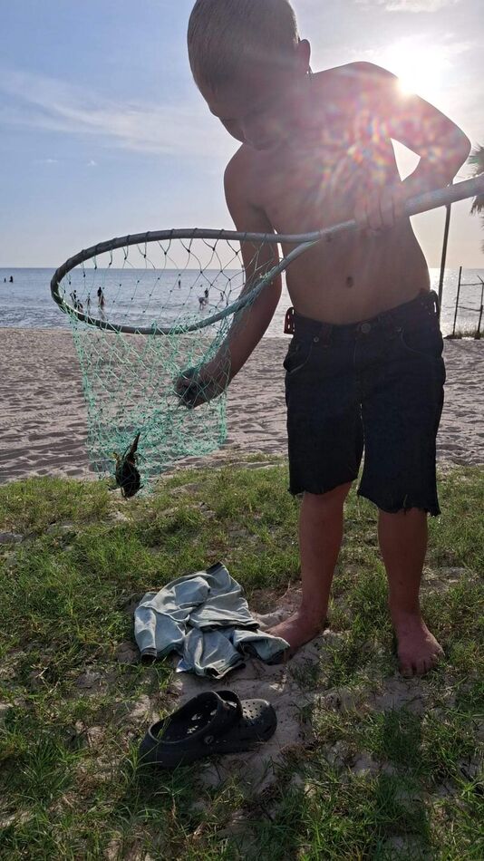 Catching Bait My Son David Loves To Snorkel And Search For Bait Such
