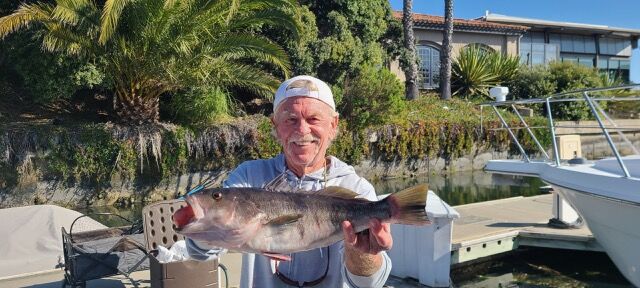 Wedding vs fishing, duh: Wife forced me into a CA wedding trip, but ...