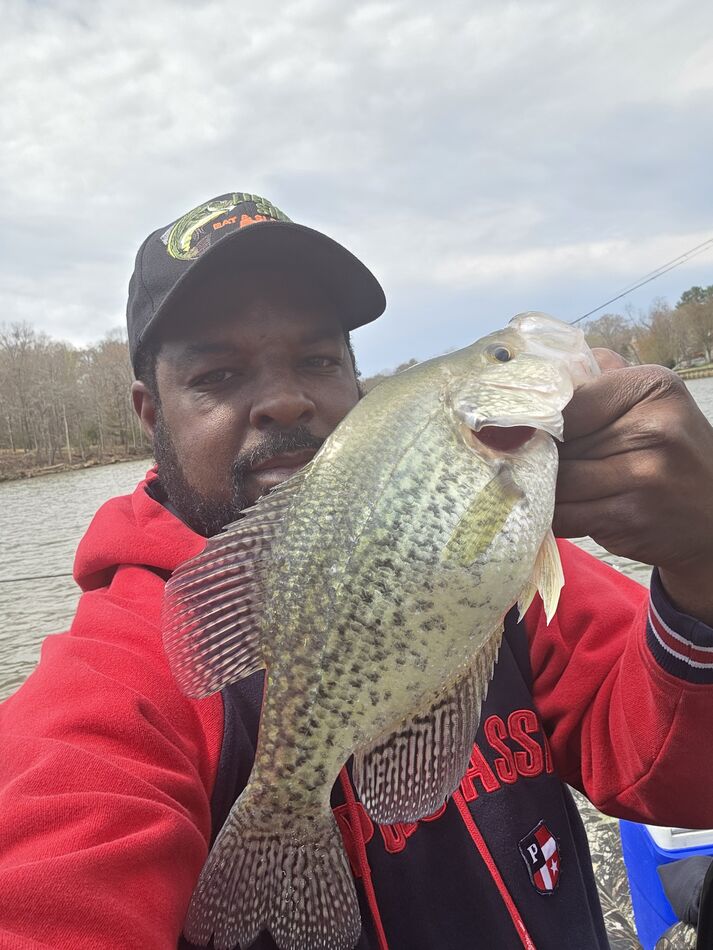 Crappie: Caught this Crappie 3/24/25 on minnows in the Potomac and Cat ...