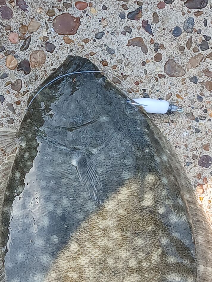 Flounder I bought under the Selena statue: Caught with a Gulp white ...
