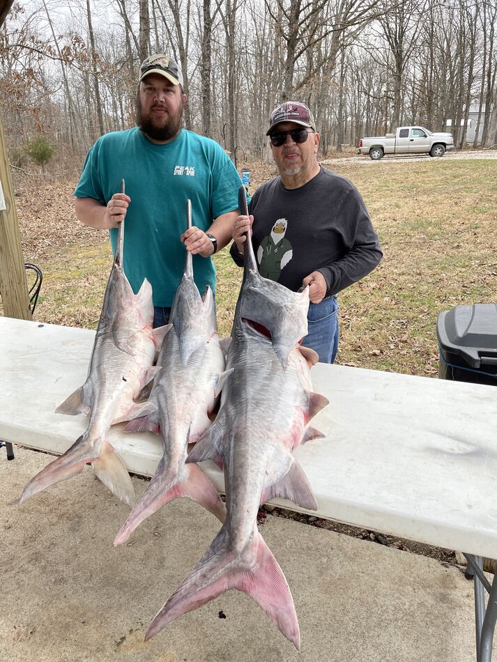 Spoonbill: First time fishing for spoonbill in Missouri. Son and I did ...