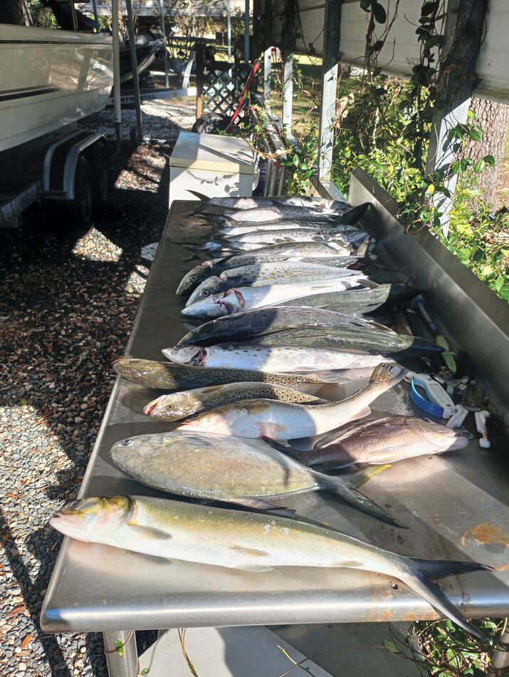 Fishing out of crystal river: On this morning we were working the bait ...
