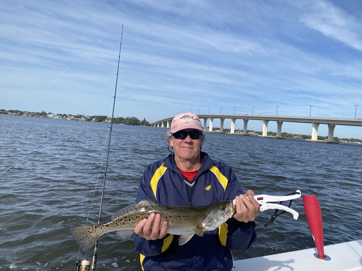 Nice trout: Maybe 23”, caught drifting live pilchards in Saint Lucie ...