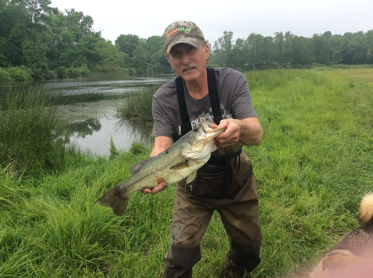 Bass lg mouth: After spawn , throwing a black 6 inch rubber salamander ...