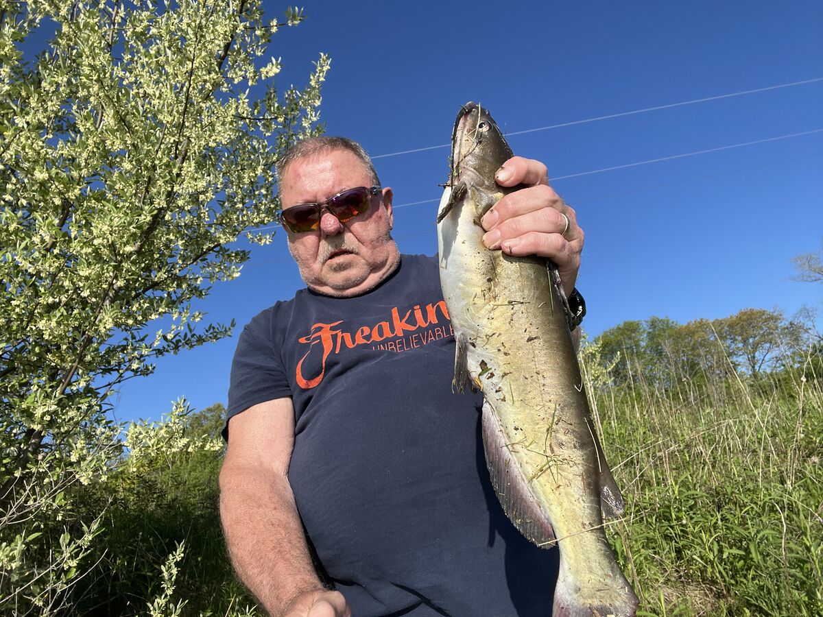 Good morning fishing: Had a pretty good morning fishing this morning ...