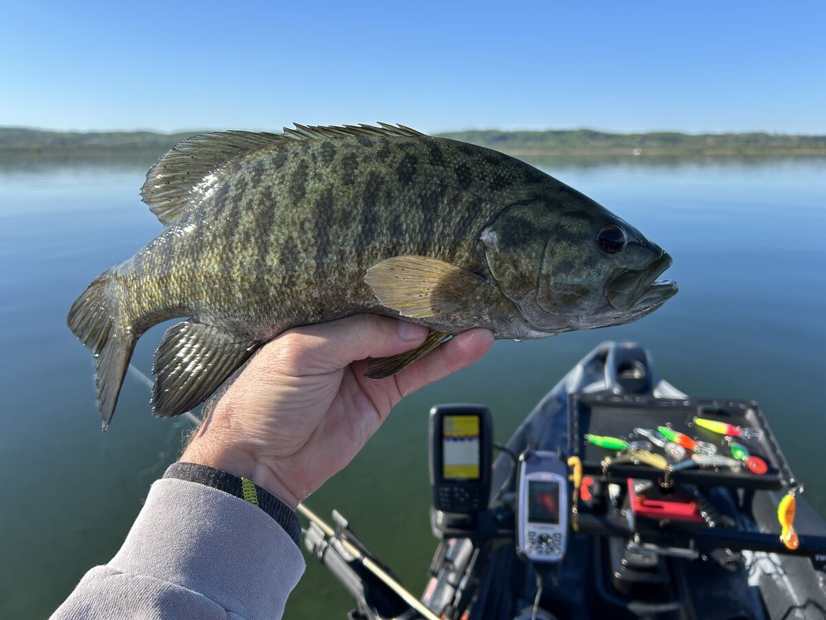 Smallmouth bass’in: A cool drive to the boat launch this morning in 34 ...
