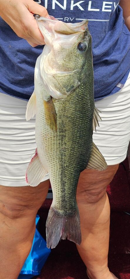 Blue Grass FWA (Memorial Day 2025): Warrick Co. Indiana, 4.6 lbs...