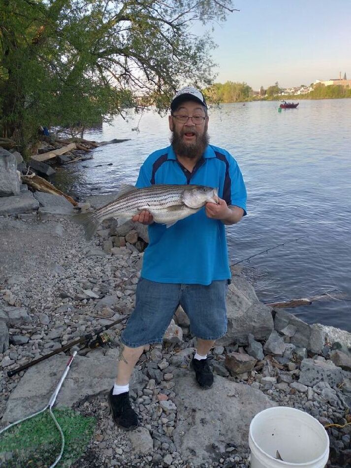 26 inch Striper Troy Dam 2021: Caught at high tide on fresh cut herring.