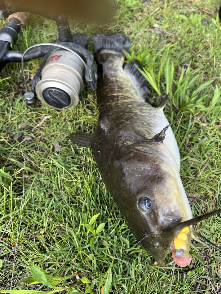 Applying for two more NJ Skillful Angler Recognition Awards 🥇: Went ...