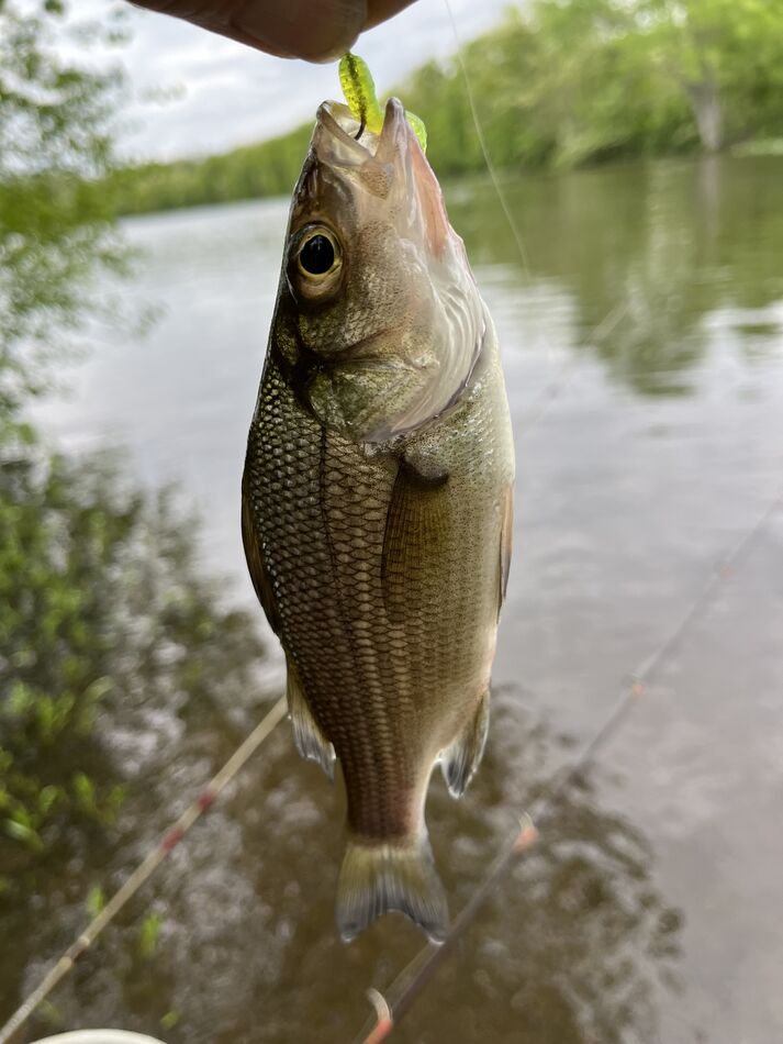 The big one got away again: Went fishing 🎣 in 75 degrees Carnegie Lake this evening on a warm ...
