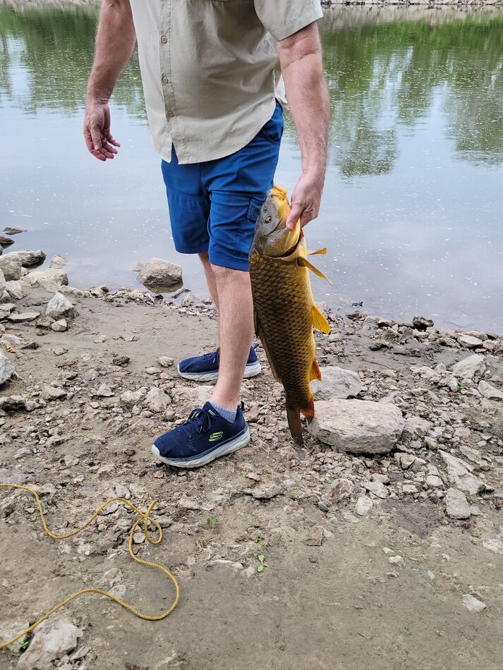 Big Carp that I caught on Father's Day: So I went over to a spot on the ...