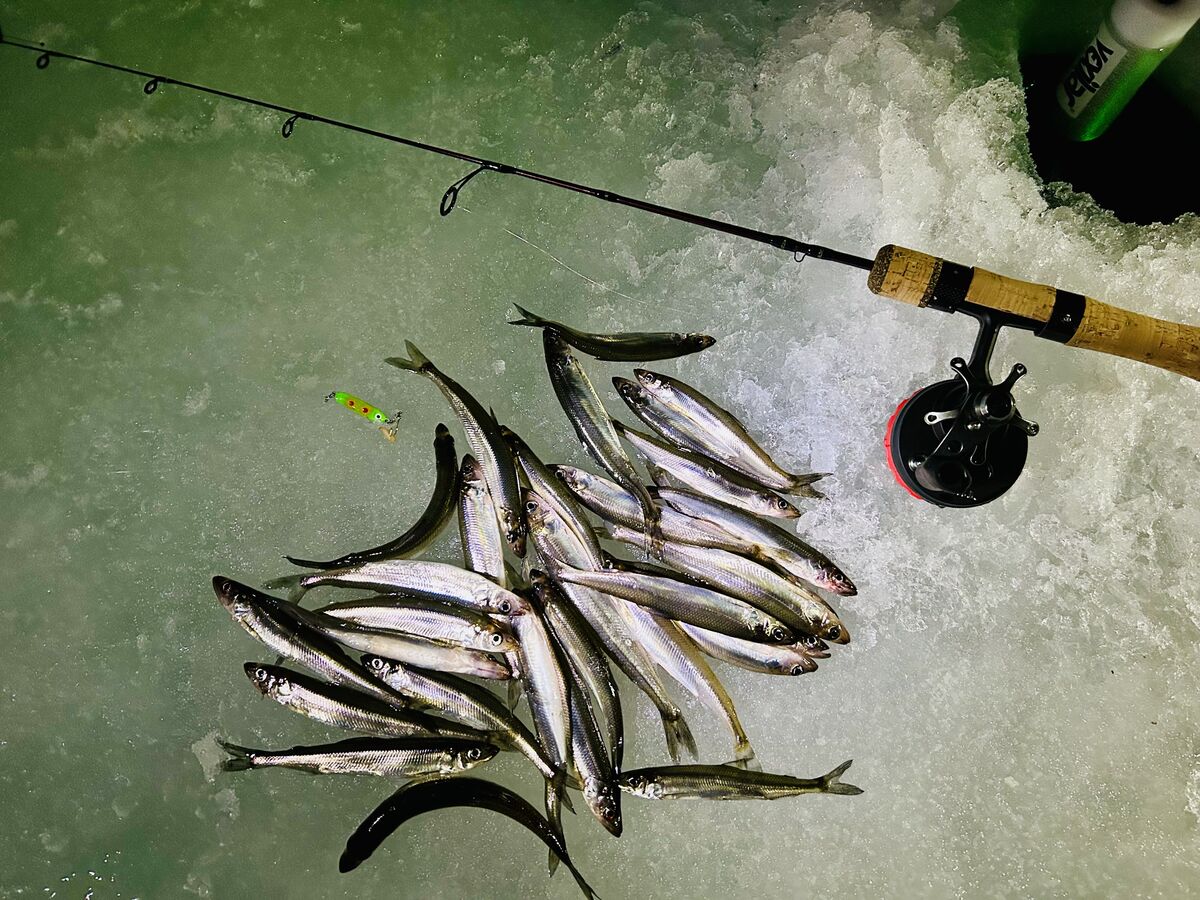 Smlt fishing on Lake Michigan: Old picture of smelt fishing on lake ...