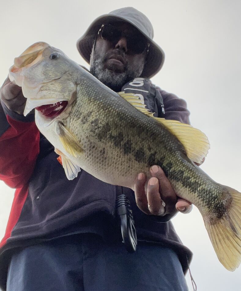 5lbs, 10oz. Largemouth Bass: Diamond Valley Lake on 06/25/25 @ 0730 ...