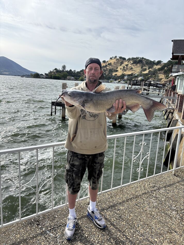 Clear Lake catfish: Had a good couple days at Clear Lake Ca caught ...