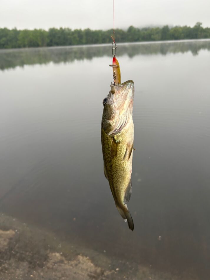 Bass caught on shore 2 weekends ago: Caught on a Rapala lure. Cloudy ...