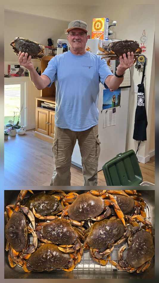 Crab Bonanza: Got out early for my first crabbing day of the season ...